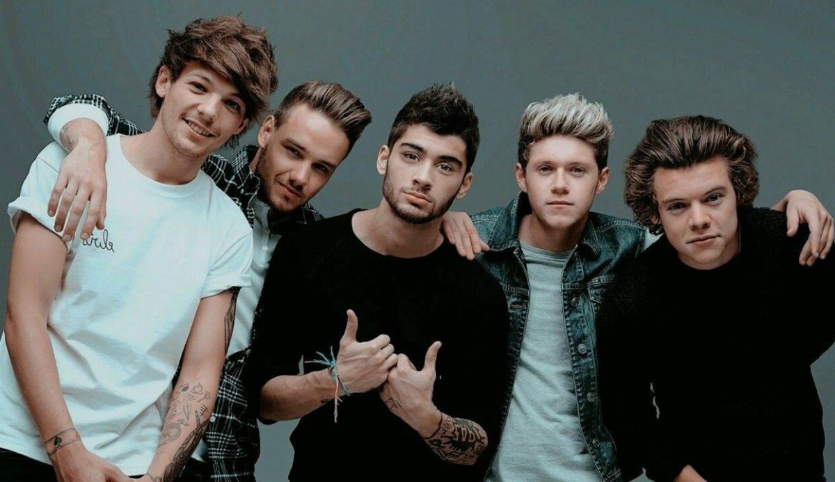 One Direction Quiz. Just Real Fans Can Score +80%