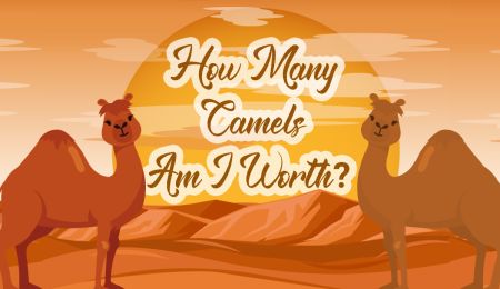How Many Camels Am I Worth? 100% Fun Calculator