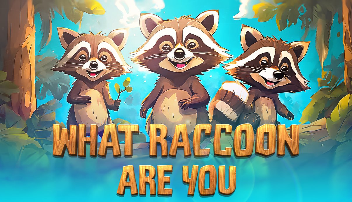 Quiz: What Raccoon Are You? 100% Fun Personality Match